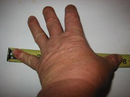 Nonstandard Measurements- Village Math